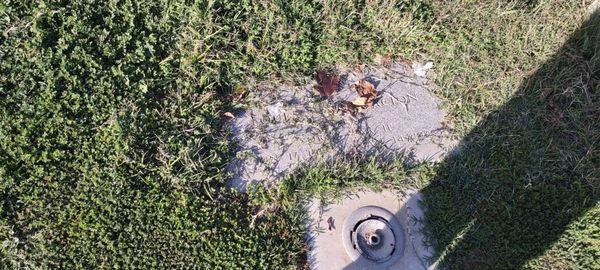 ANGELUS ROSEDALE CEMETERY - Updated November 2024 - 121 Photos & 46 ...