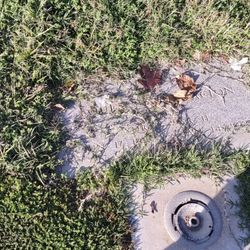 ANGELUS ROSEDALE CEMETERY - 107 Photos & 39 Reviews - 1831 W Washington ...