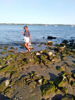 SANDY POINT BEACH - Updated August 2024 - 25 Photos - 620 Sandy Point ...