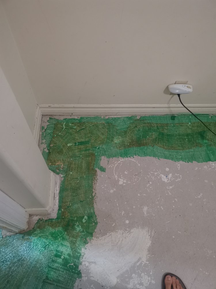 SILVER LINING RESTORATION - Updated September 2025 - 24 Photos - 1235 ...