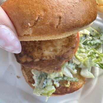 BIRDCALL - Updated November 2025 - 351 Photos & 586 Reviews - 800 E ...