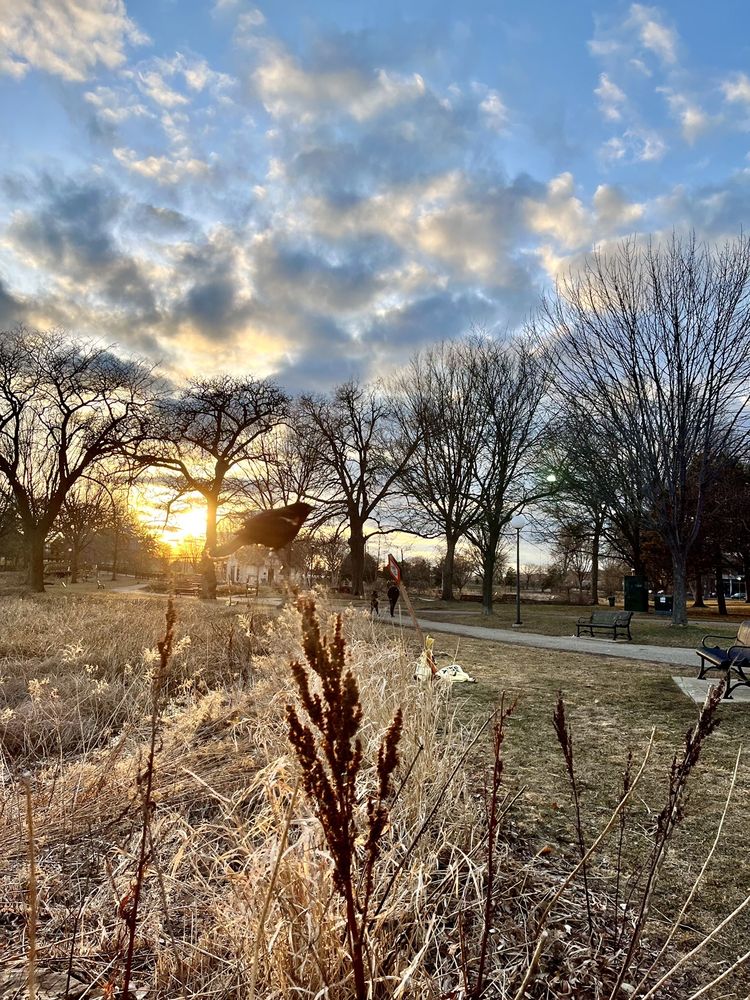 LORING PARK - 206 Photos & 72 Reviews - 1382 Willow St, Minneapolis ...