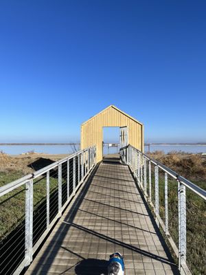 ALVISO MARINA COUNTY PARK - 1330 Photos & 187 Reviews - 1195 Hope St ...