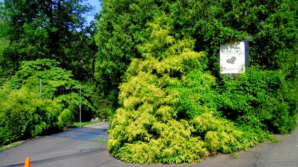 THE GARDENS AT MILL FLEURS - Updated October 2025 - 12 Photos - 27 ...