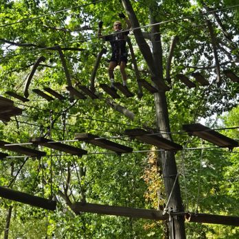 TREE RUNNER ADVENTURE PARK - Updated November 2025 - 150 Photos & 171 ...