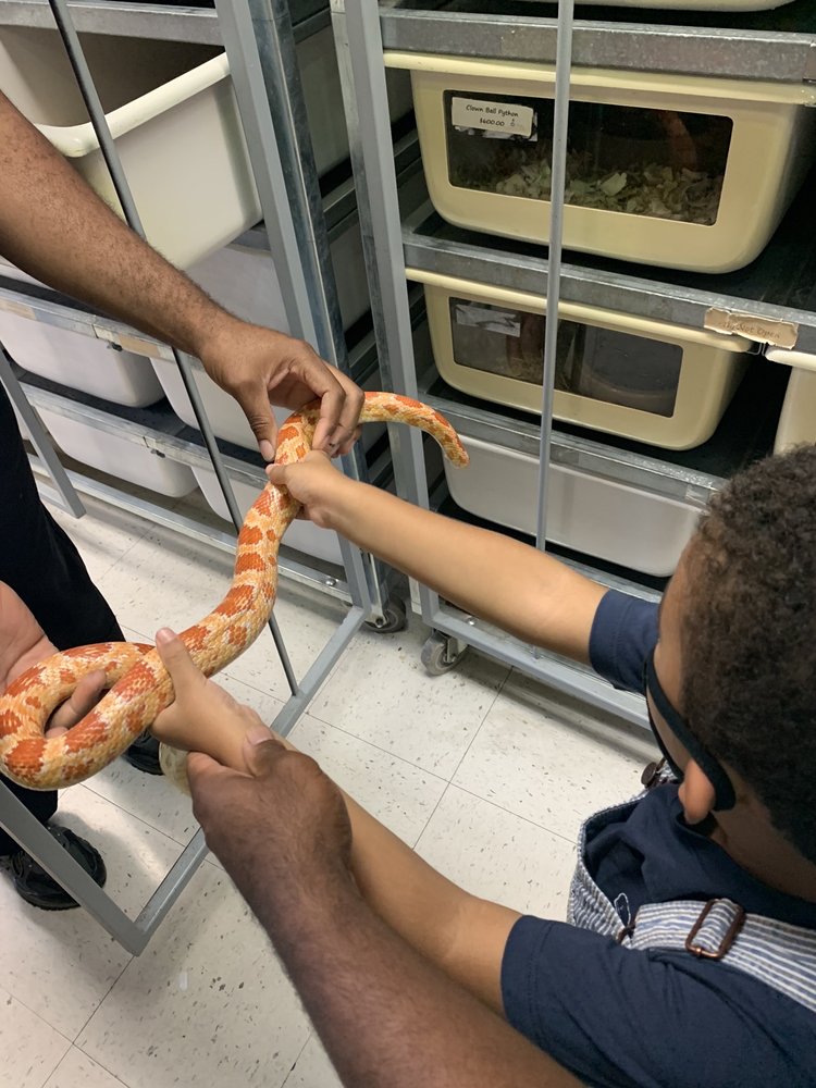 AQUATIC CRITTER - Updated June 2024 - 56 Photos & 76 Reviews - 5009 ...