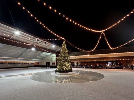 WINTER LODGE - TEMP. CLOSED - 70 Photos & 129 Reviews - 3009 ...