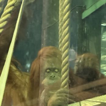 RACINE ZOO - Updated January 2026 - 134 Photos & 87 Reviews - 2131 N ...