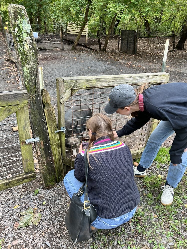 ROSS MILL FARM - Updated January 2026 - 36 Photos & 14 Reviews - 2464 ...