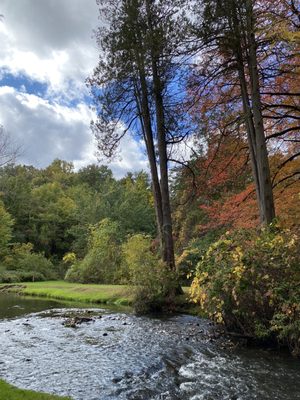 FOREST PARK - Updated October 2025 - 118 Photos & 16 Reviews - 299 ...