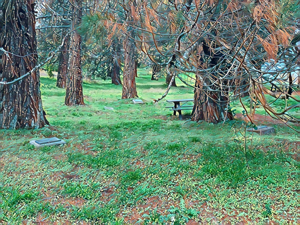 BERKELEY ROTARY PEACE GROVE - Updated August 2024 - 10 Photos - Wildcat ...