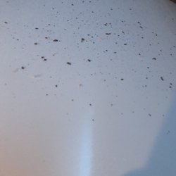 TRUE REST FLOAT SPA - 81 Photos & 170 Reviews - Float Spa - 1860 E ...