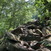 PALISADES INTERSTATE PARK STATE LINE LOOKOUT - 324 Photos & 58 Reviews ...