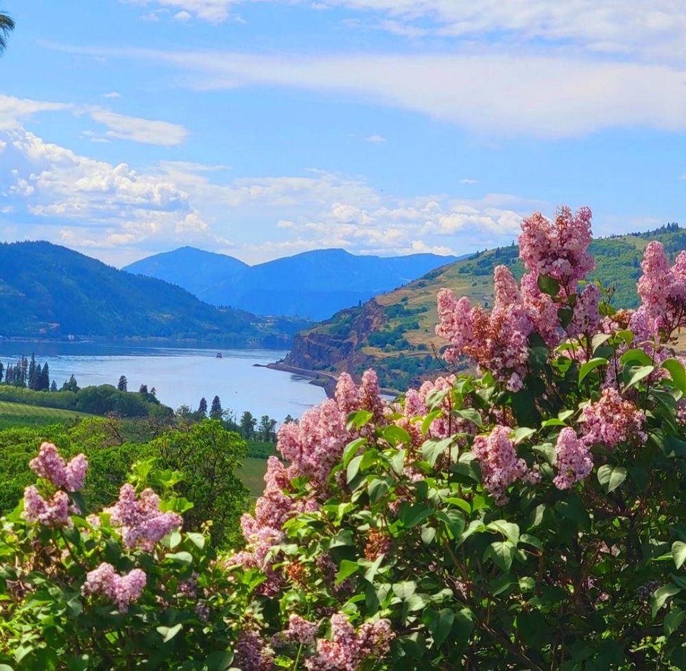 THE TOWN OF MOSIER - 11 Photos - US-30, Mosier, Oregon - Local Flavor ...