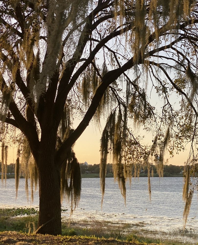 LAKE WAILES PARK - 20 Photos - Parks - 33 N Lakeshore Blvd, Lake Wales ...