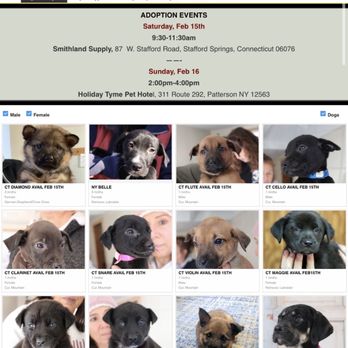 PAWSAFE ANIMAL RESCUE - Updated December 2025 - 18 Photos & 13 Reviews ...