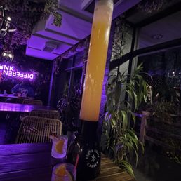 SOUTH HOUSE GARDEN - Updated July 2025 - 583 Photos & 267 Reviews - 317 ...