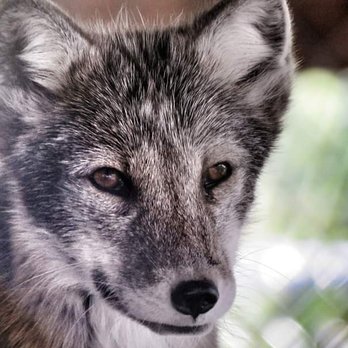 WOLF MOUNTAIN NATURE CENTER - Updated November 2025 - 27 Photos - 562 ...