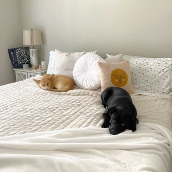 RUFF HOUSE DOG RESORT - Updated October 2025 - 39 Photos & 18 Reviews ...