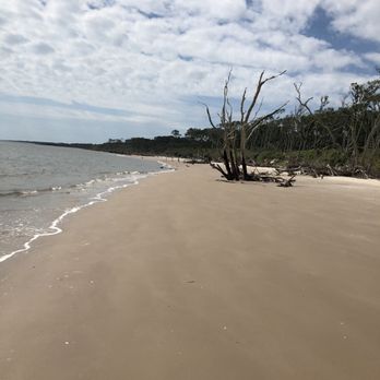 Little Talbot Island State Park - 178 Photos & 53 Reviews - Beaches ...