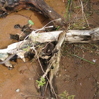 PUBLIC RECREATION AREA 19 - Updated August 2025 - Wpa Road At Way Dam ...