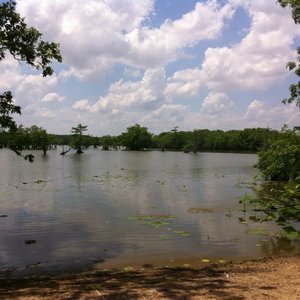 JEFF BUSBY PARK - 17 Photos - Park Rd, Ackerman, Mississippi - Parks - Yelp