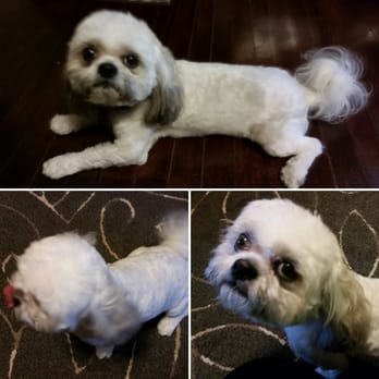 URBAN TAILS - Updated August 2024 - 17 Photos & 56 Reviews - 1618 ...