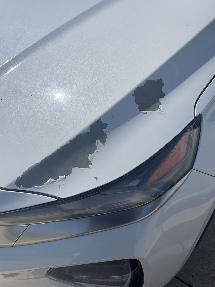 LEE AUTO BODY & PAINT - Updated November 2025 - 25 Photos - 2478 Forth ...