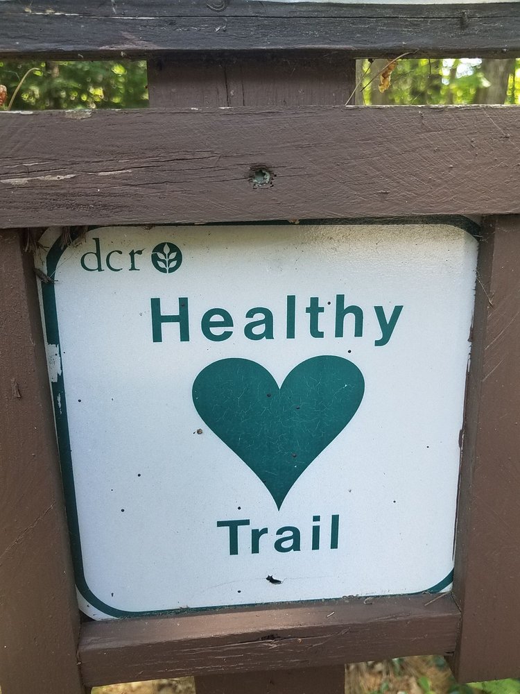 GRANVILLE STATE FOREST - Updated June 2025 - 49 Photos - 323 W Hartland ...