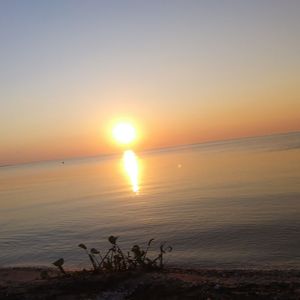 TULANE UNIVERSITY - DEMING PAVILLION - Updated August 2025 - 15 Photos ...