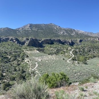 SPRING MOUNTAIN NATIONAL RECREATION AREA - Updated October 2025 - 337 ...