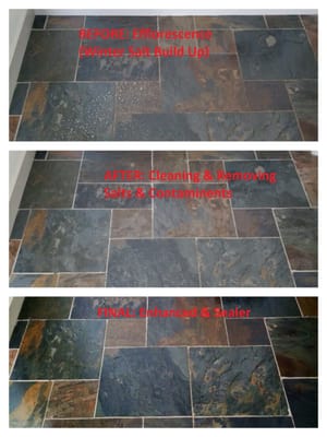 COIT CLEANING AND RESTORATION - Updated December 2025 - 43 Photos & 35 ...