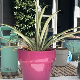 EAST BAY VIVARIUM - Updated January 2026 - 726 Photos & 619 Real ...