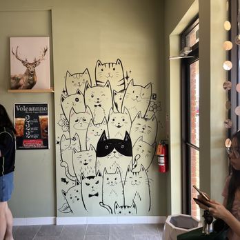 TAPIOCA GO - Updated May 2025 - 70 Photos & 16 Reviews - 4000 Virginia ...