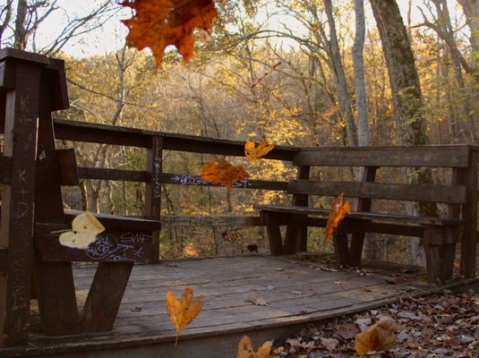 SAUNDERS SPRINGS NATURE PRESERVE - 125 Photos & 24 Reviews - N Wilson ...