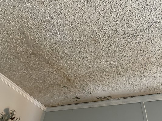 AMERICAN MODERN INSURANCE GROUP - Updated December 2025 - 14 Photos ...