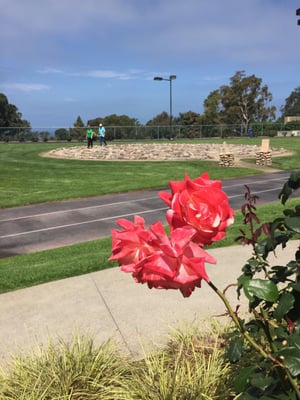 SCRIPPS CENTER FOR INTEGRATIVE MEDICINE - Updated December 2025 - 17 ...