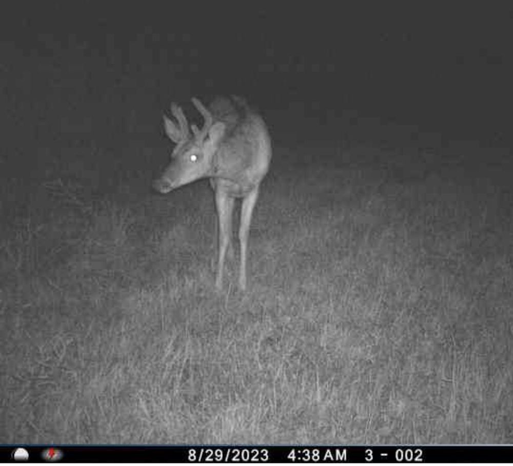 J.A. RYAN CONSTRUCTION - Updated October 2025 - 44 Photos - Lowell ...