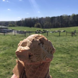 HOWLING COW DAIRY EDUCATION CENTER AND CREAMERY - 163 Photos & 53 ...
