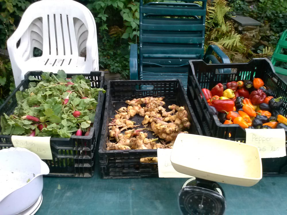 NORWOOD CSA FOOD COOP - Updated December 2025 - 2974 Bainbridge Ave ...