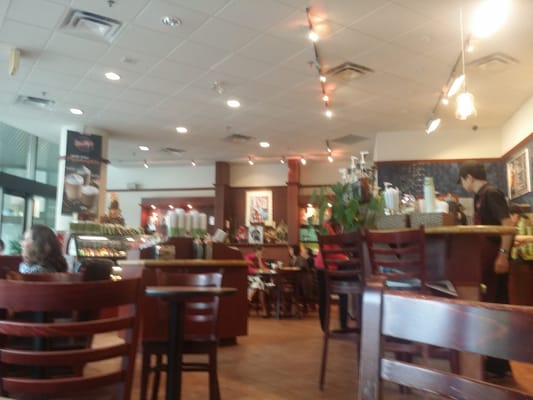 TIMOTHYS COFFEES OF THE WORLD - Updated February 2025 - 483 Bay St ...