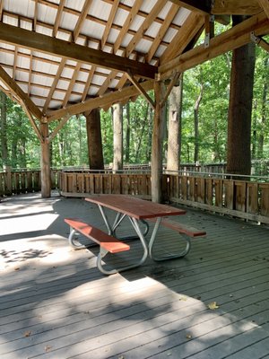 CHESSIE’S BIG BACKYARD - Updated July 2024 - 67 Photos & 61 Reviews ...