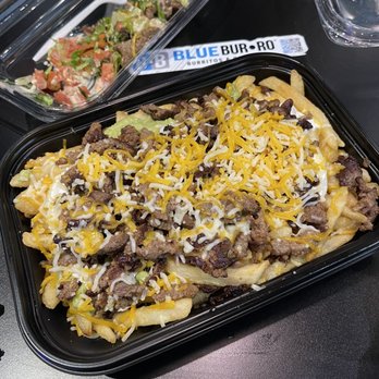 BLUE BURRO BURRITOS & CANTINA - Updated July 2024 - 231 Photos & 203 ...