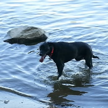 FOX RIVER BLUFF DOG PARK - Updated October 2025 - 31 Photos & 11 ...