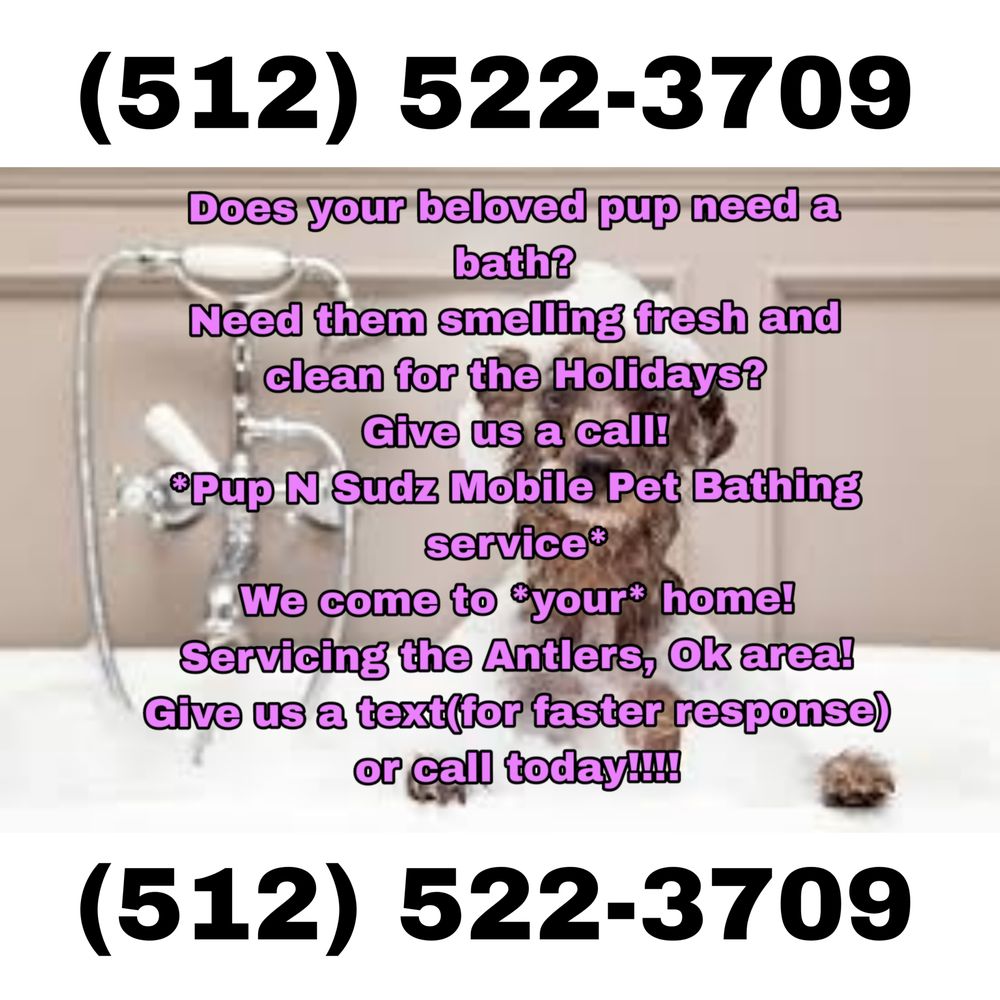 PUP N SUDZ MOBILE DOG BATHING SERVICE - Updated July 2024 - Request an ...