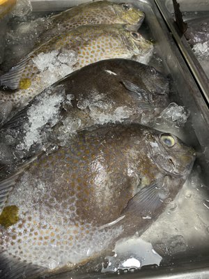 SEAFOOD BY THE BAY - 22 Photos - Seafood - Block 1 Lot 5, Waterfront ...