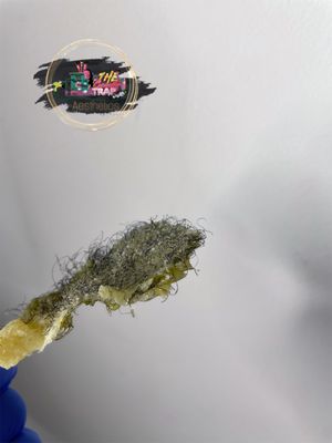 THE BEAUTY TRAP - Updated September 2024 - 34 Photos - Rock Hill, South ...