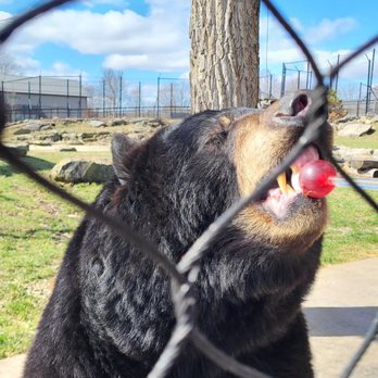 KEYSTONE SAFARI - Updated May 2024 - 125 Photos & 51 Reviews - 2284 ...