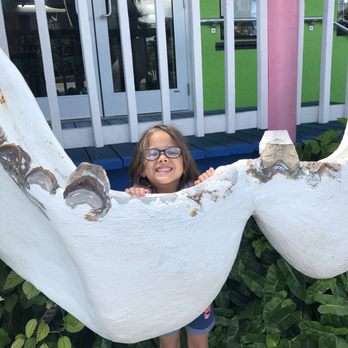 SHELL WORLD - Updated September 2025 - 199 Photos & 111 Reviews - 97600 ...