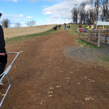 GAVER TREE FARM & PUMPKIN PATCH - Updated October 2025 - 283 Photos ...